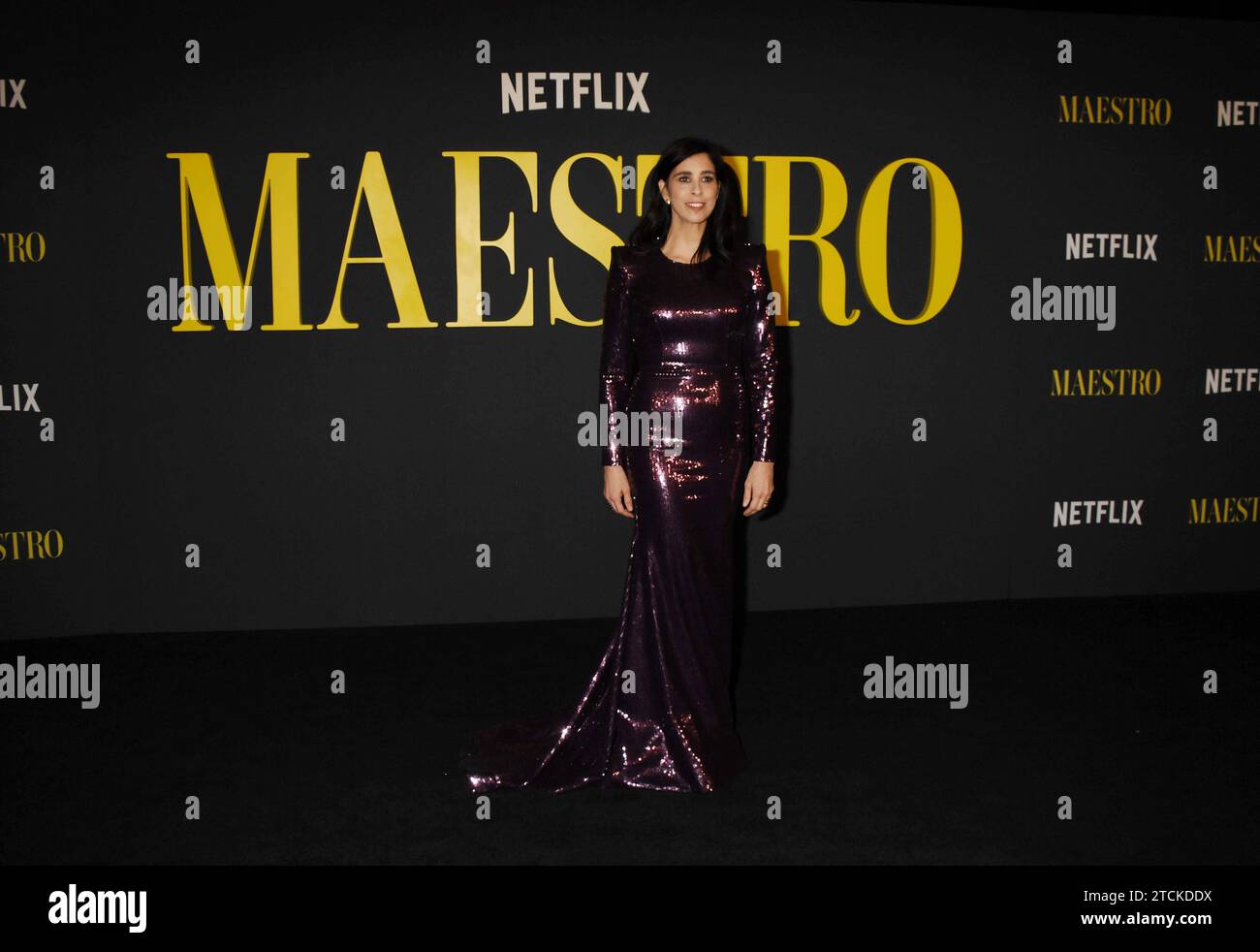 LOS ANGELES, CALIFORNIA - DECEMBER 12: Sarah Silverman attends Netflix ...