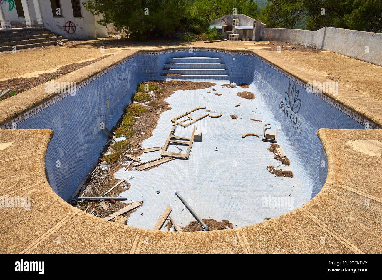Abandoned and vandalized empty swimming pool covered with trash, plants ...