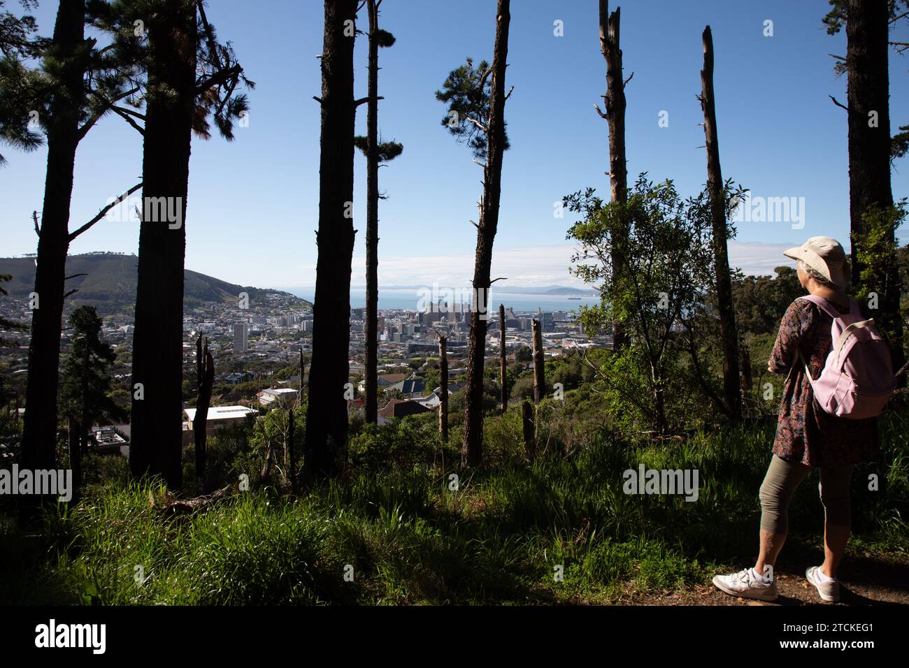 View of Cape Town city centre and Table Bay from a park on the foot of ...