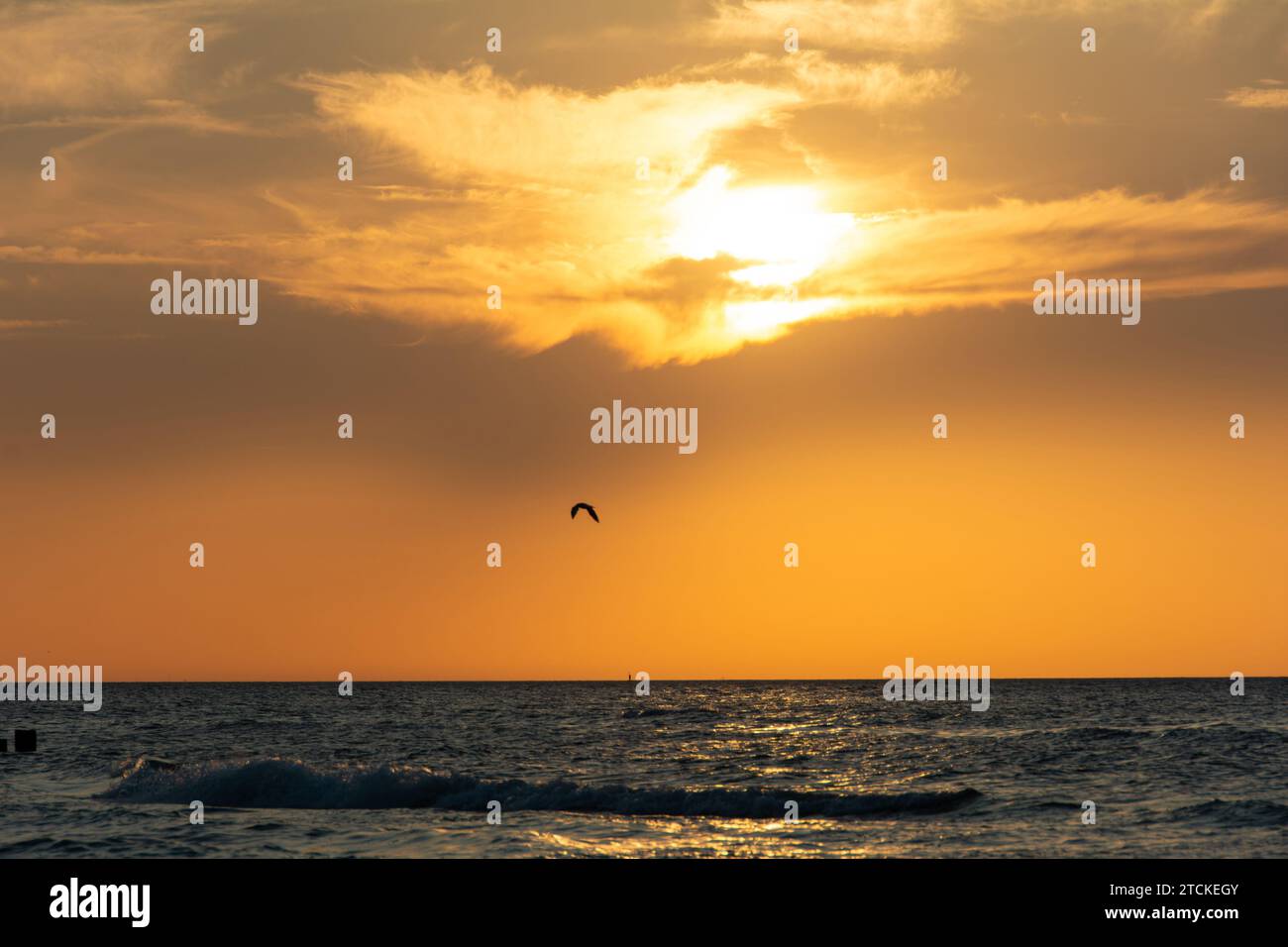 Red sun over horizon bird hi-res stock photography and images - Alamy