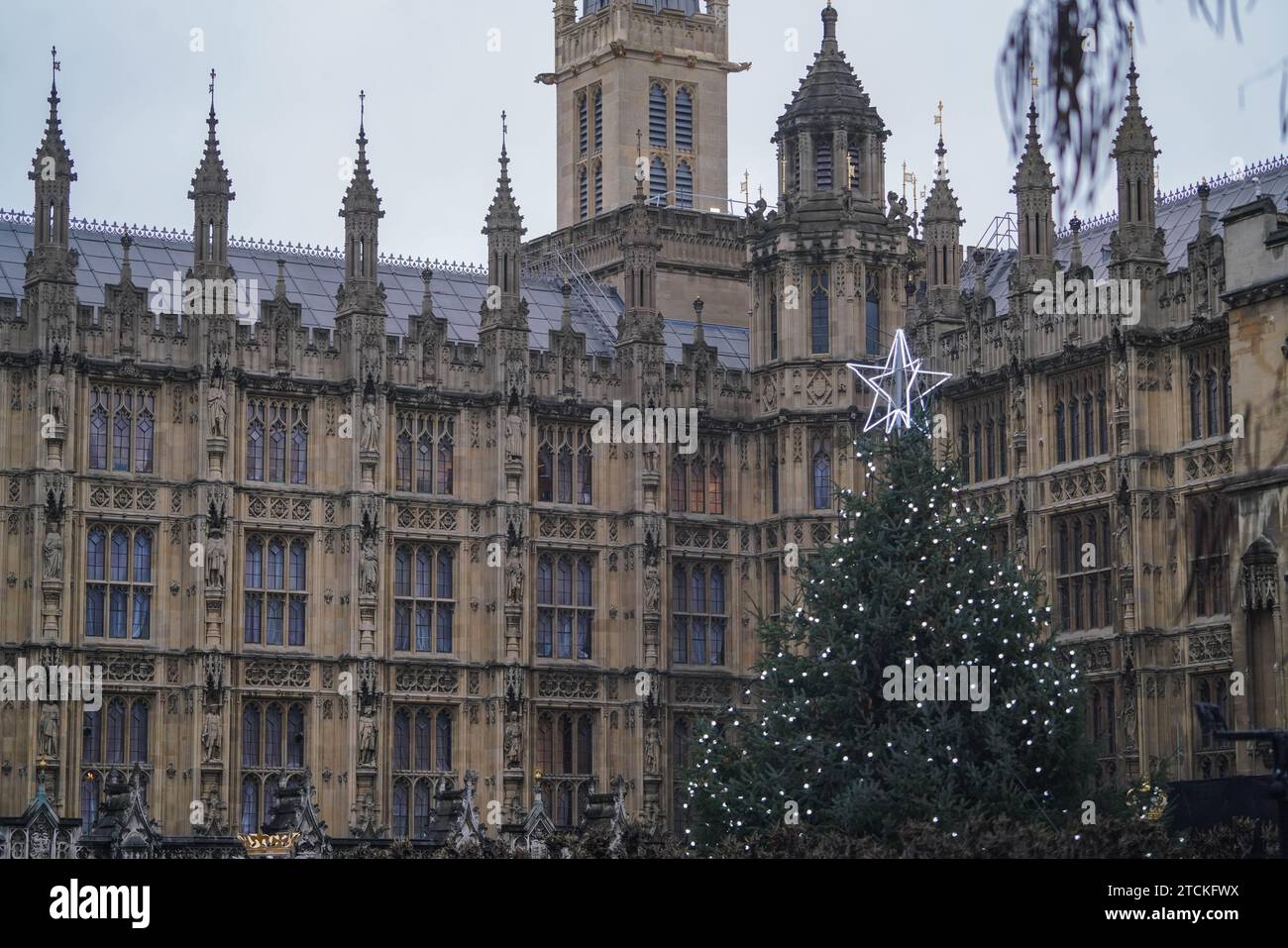 Decorated Christmas tree in the Palace of Westminster, London Stock ...