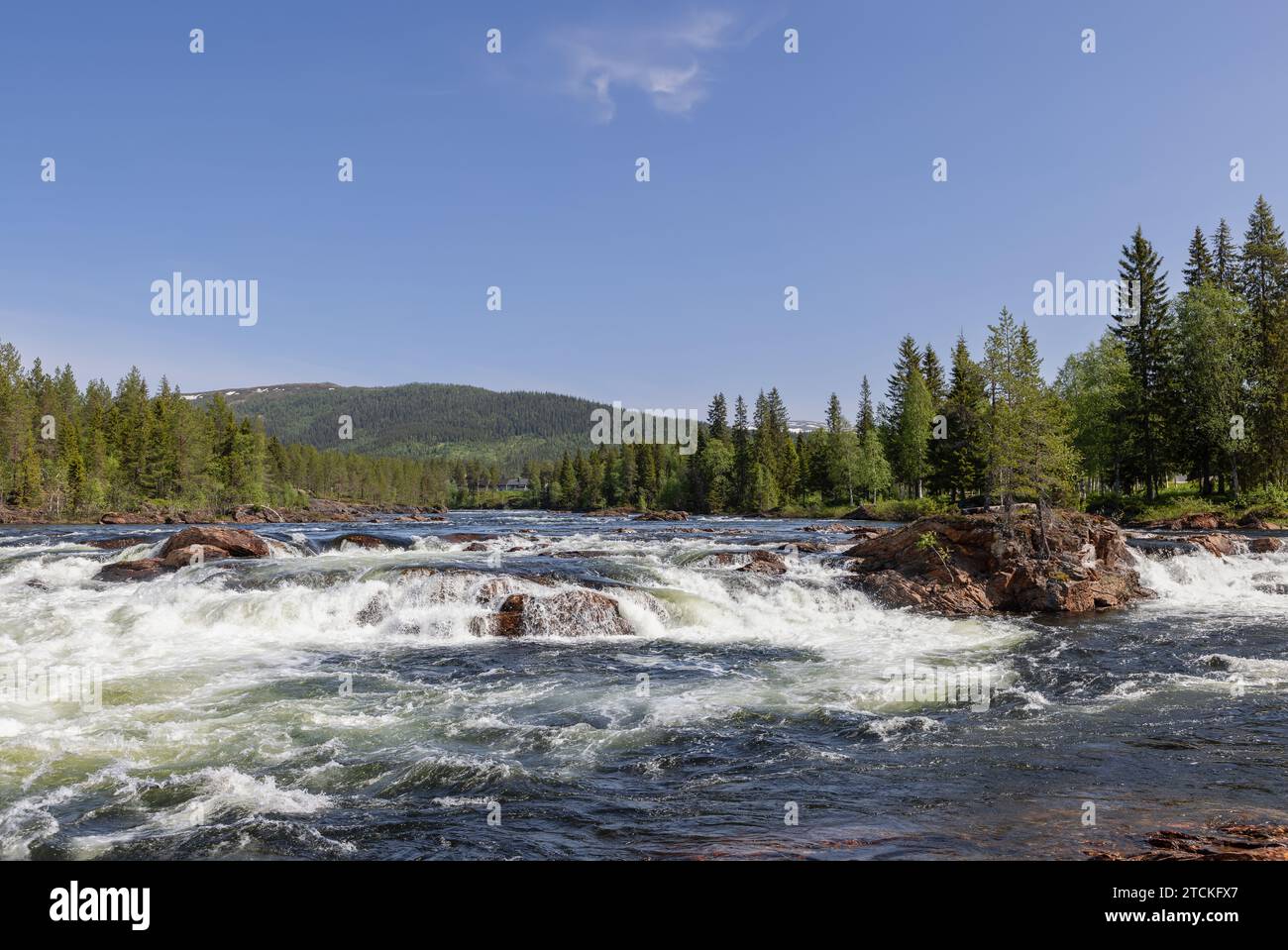 Summer day view of Namsen River in Namsskogan, Trondelag, Norway ...