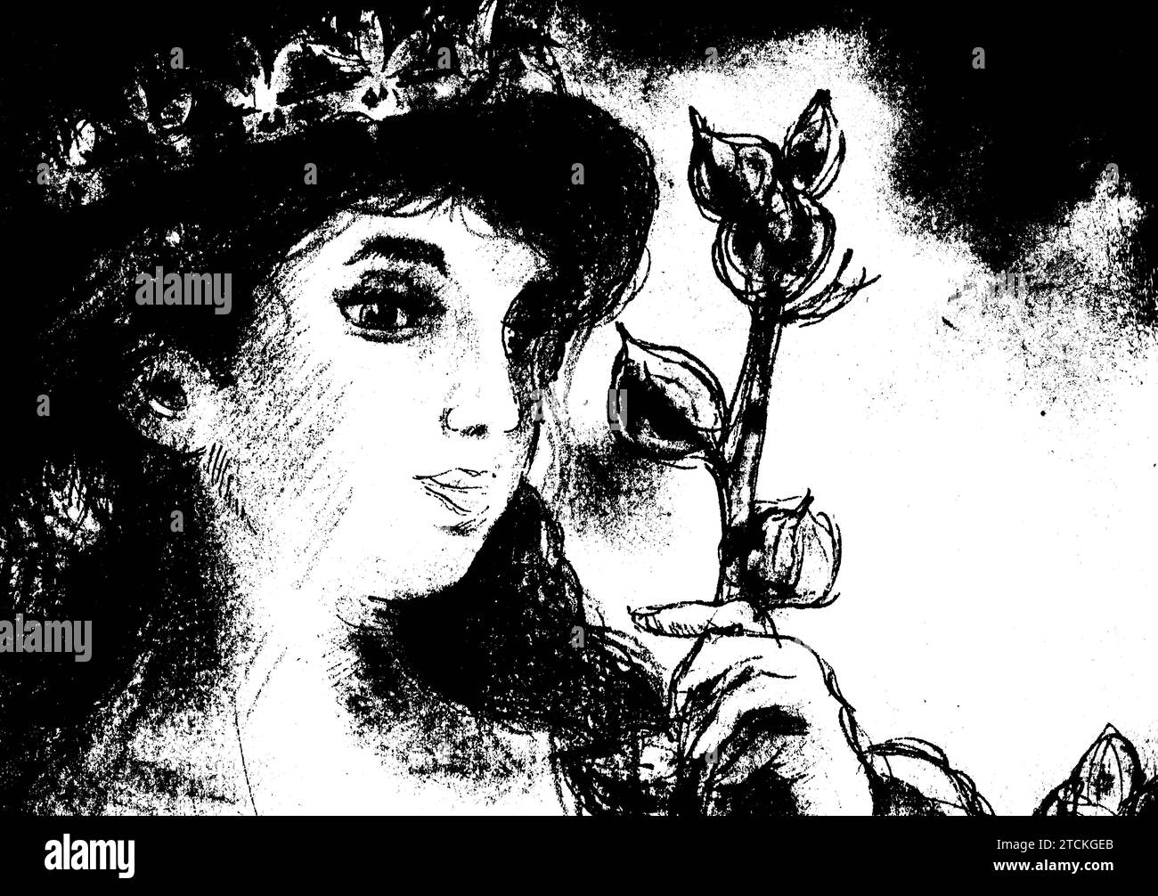 Poppy flower engraving Black and White Stock Photos & Images - Alamy