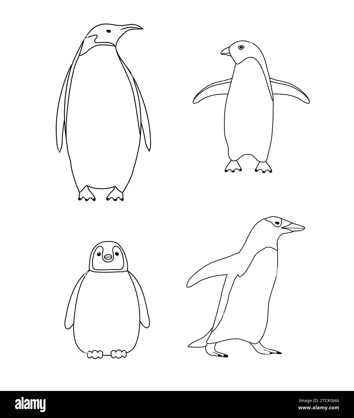 Vector set of hand drawn flat penguin isolated on white background ...