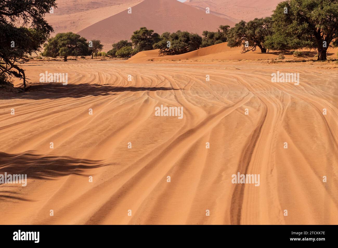 Impression of the massive sanddunes that comprise the Sossusvlei of ...