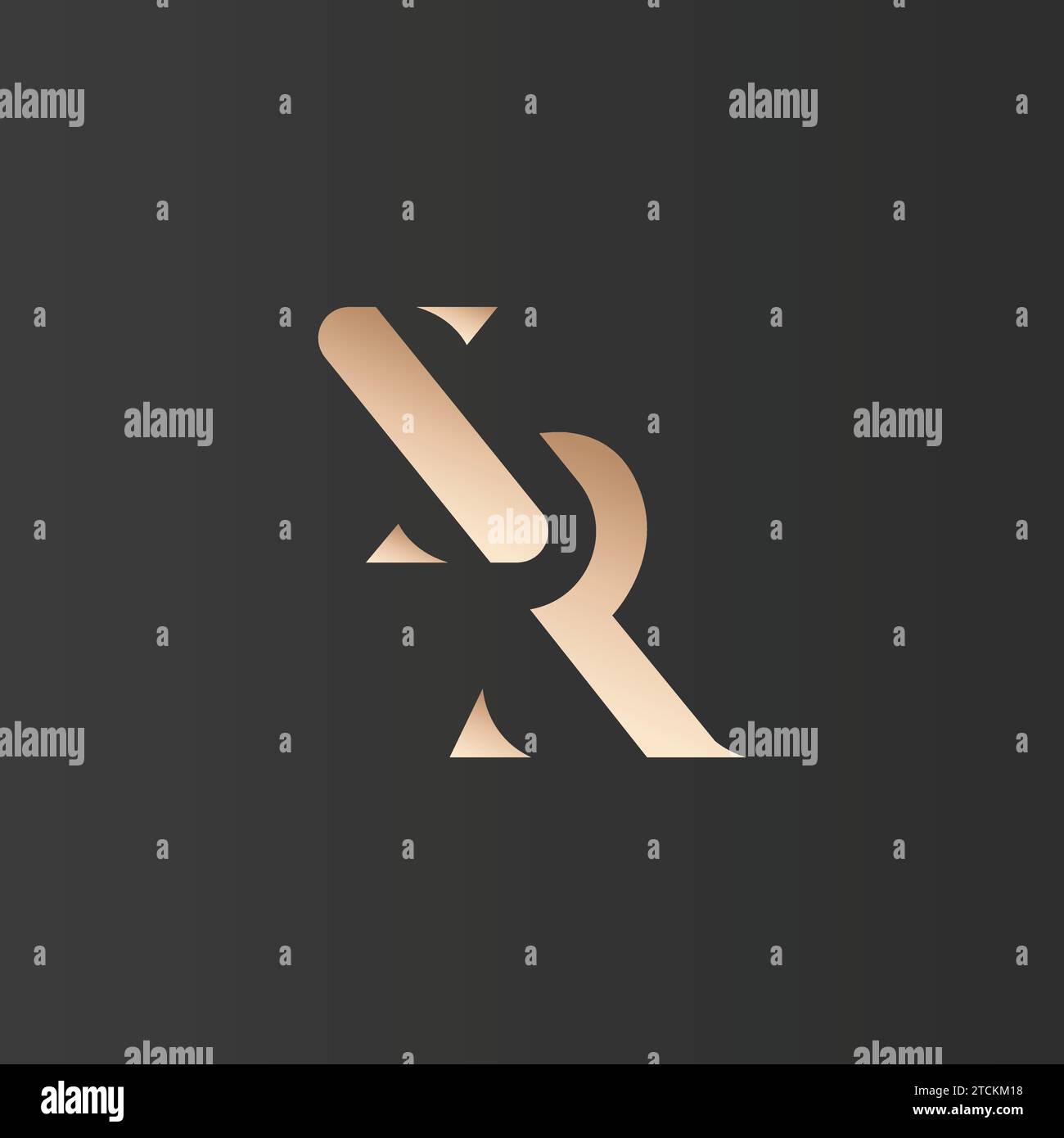 Luxury Golden and Black Color initial based SR logo. Logo letter SR ...