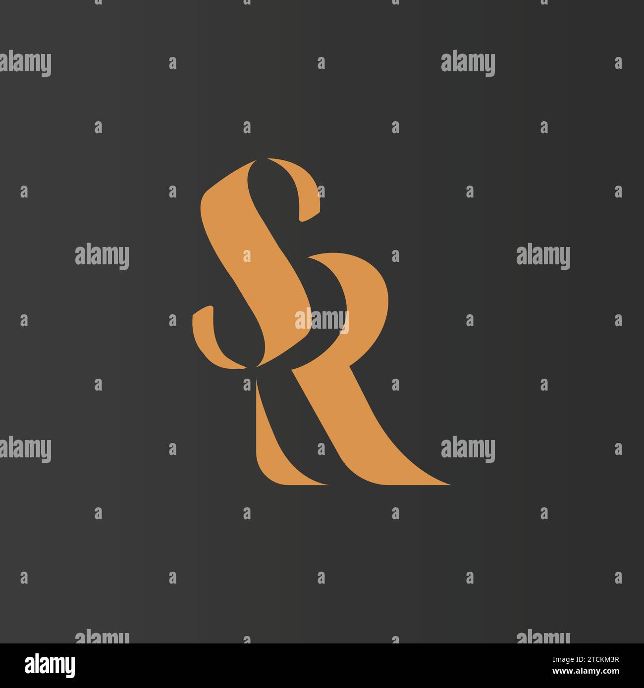 Luxury Golden and Black Color initial based SR logo. Logo letter SR ...