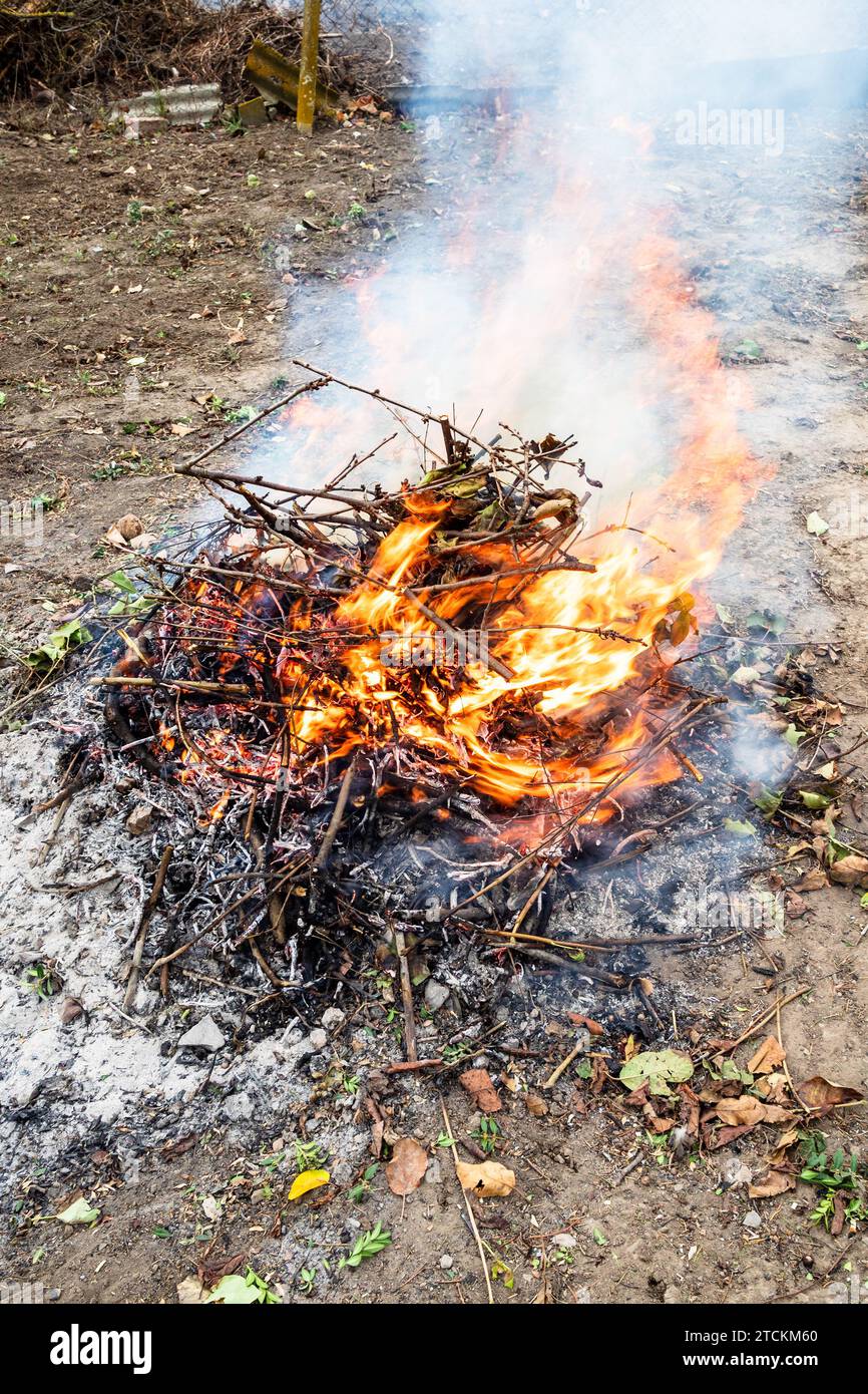 Fire on field burning branches hi-res stock photography and images - Alamy