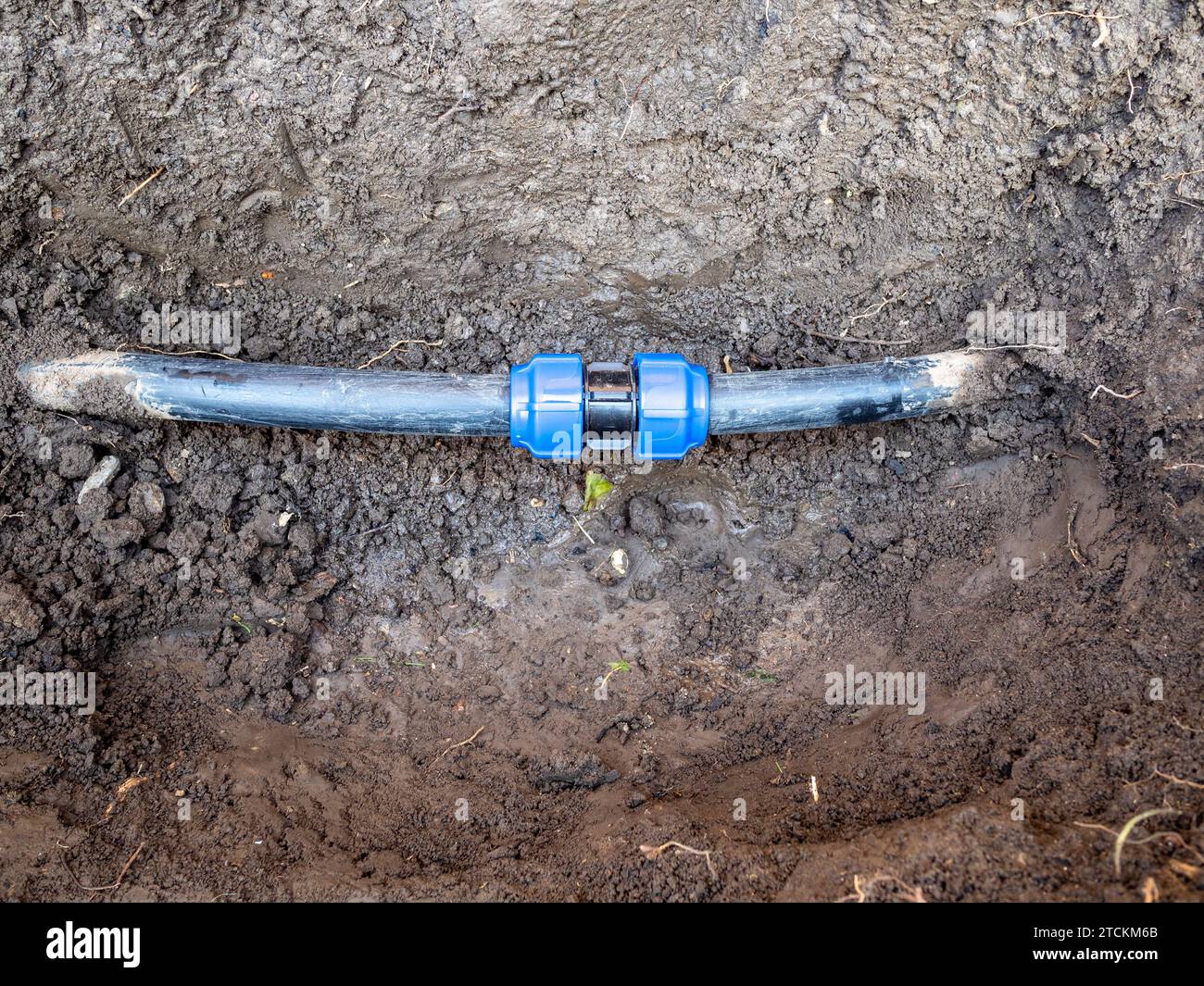 reparing water pipe damaged by shovel in ground when digging hole in ...
