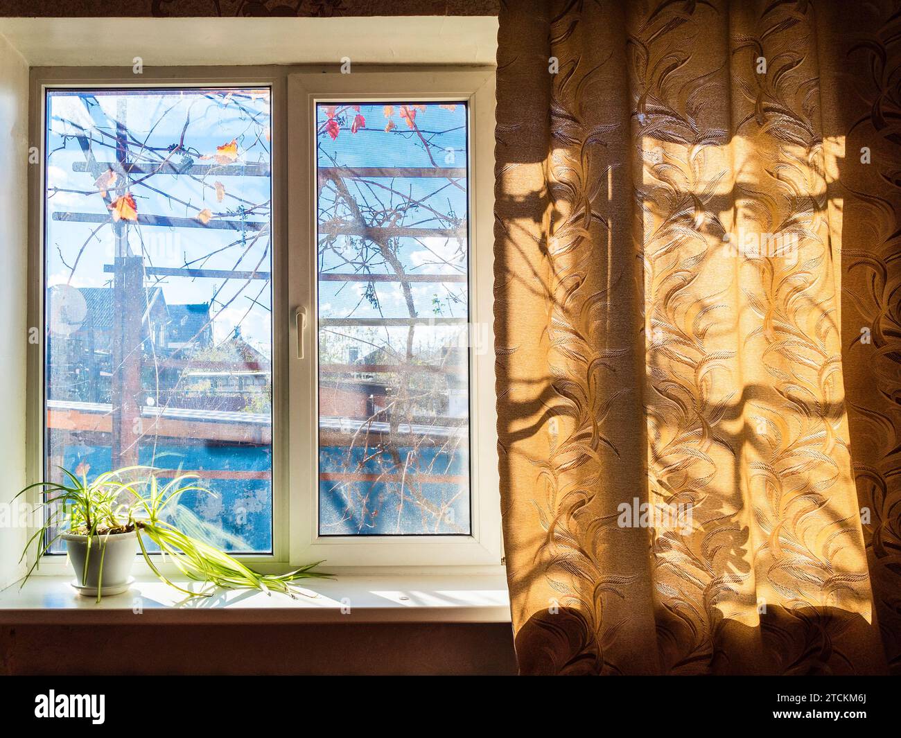window of village house with houseplant on windowsill illuminated by ...