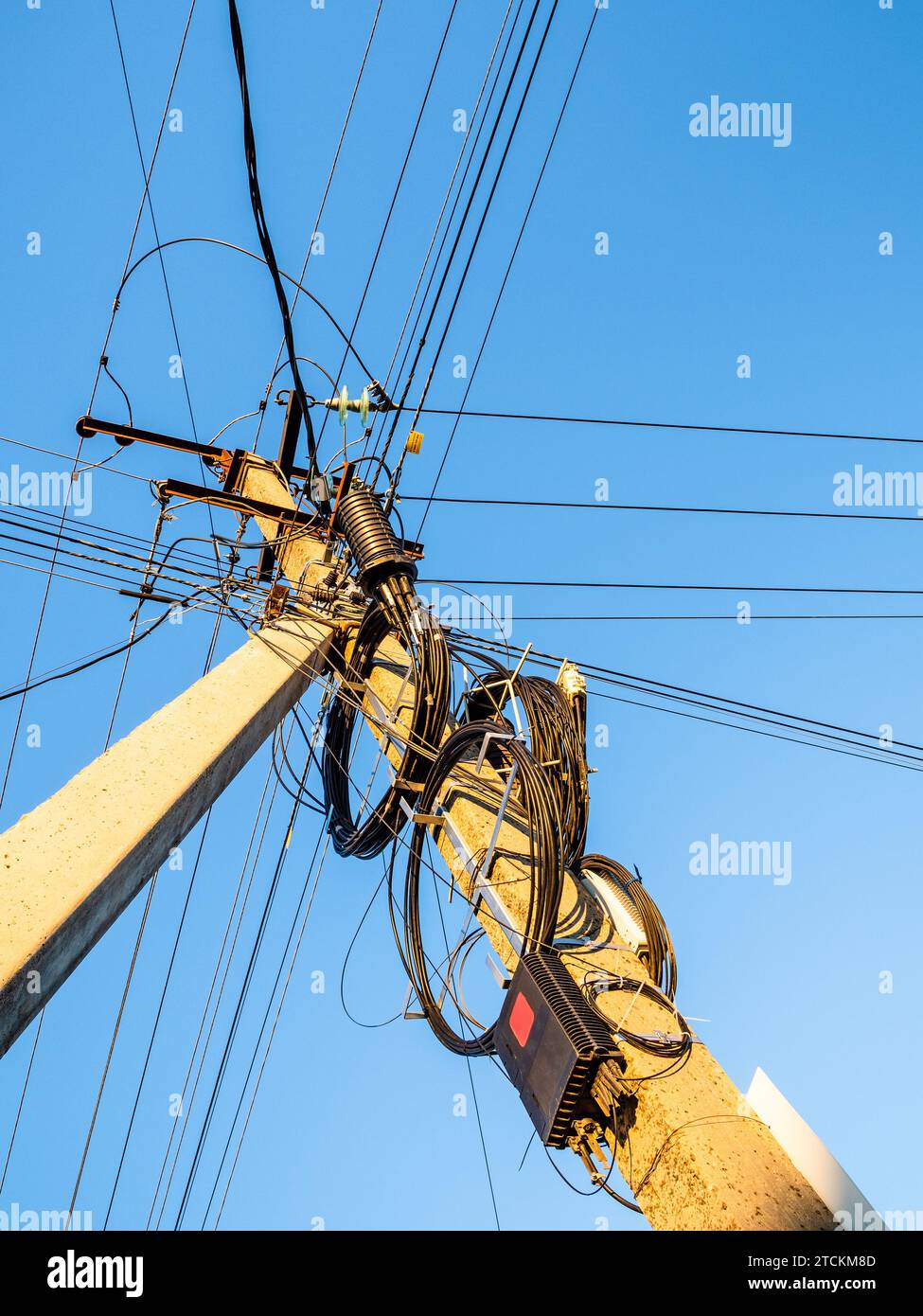 bottom view of concrete power line pole with lot of wires lit by sun in ...