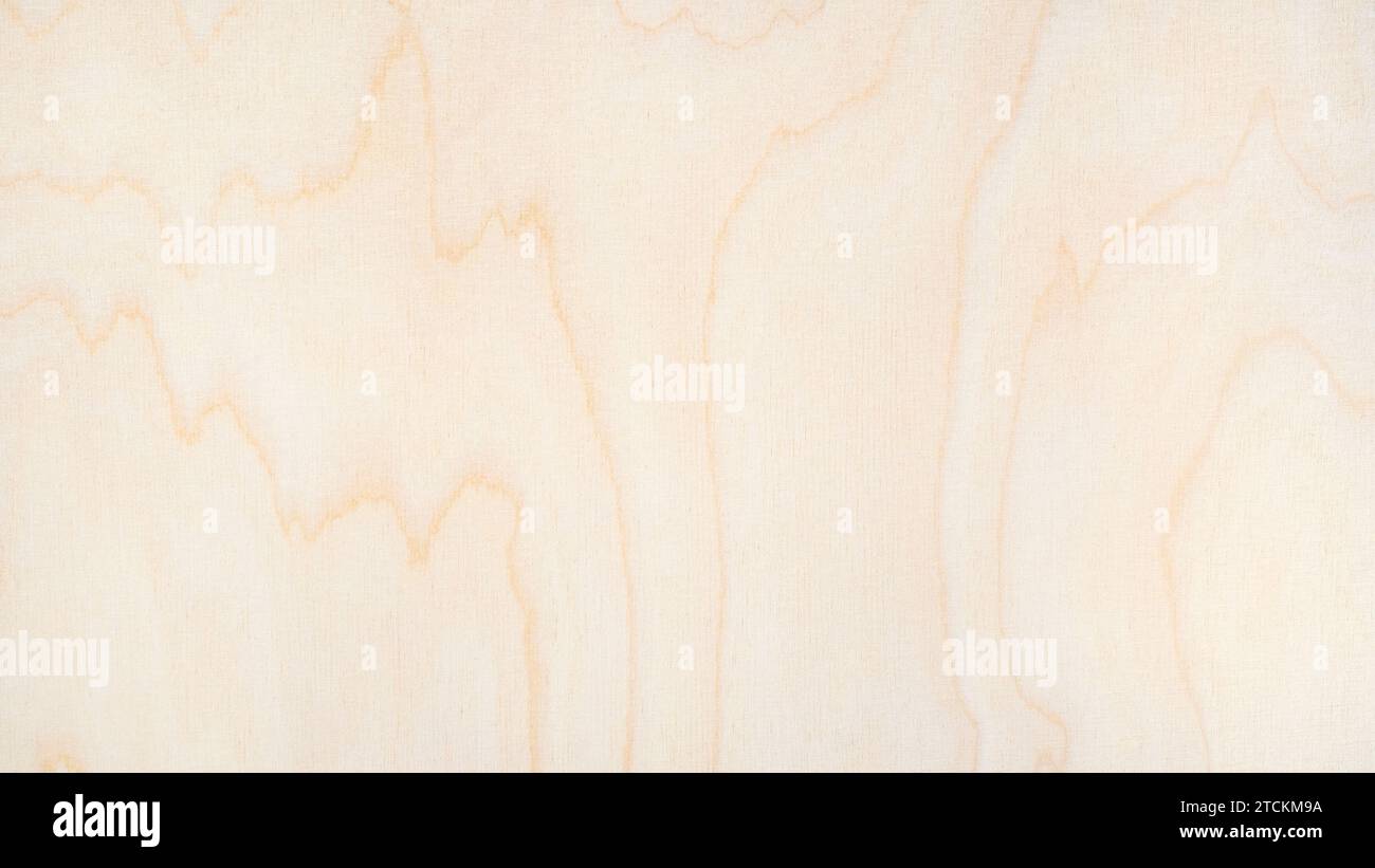 panoramic view of textured natural birch plywood sheet with wooden ...