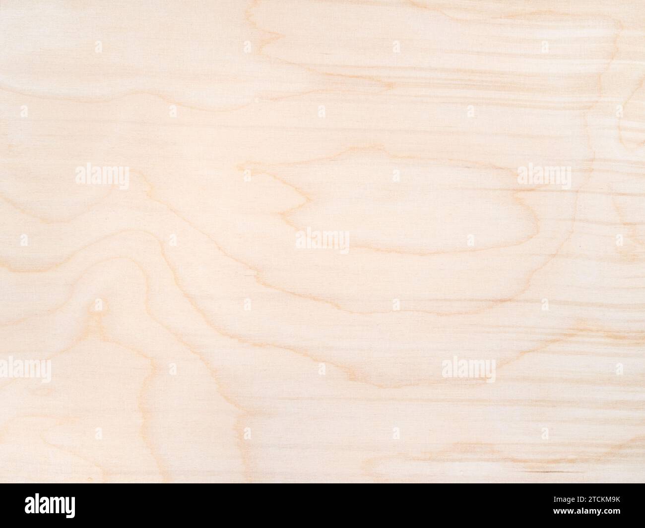 Birch plywood pattern hi-res stock photography and images - Alamy