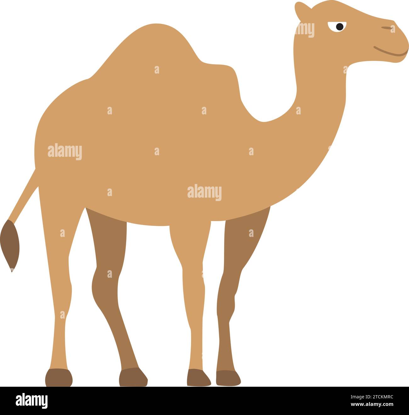 Camel nature Cut Out Stock Images & Pictures - Alamy