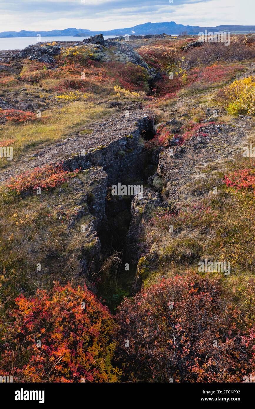 Iceland, Golden Circle, Thingvellir National Park in Autumn colours ...
