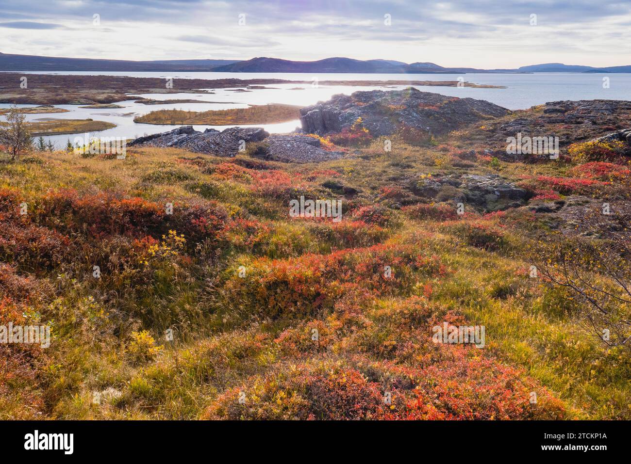 Thingvallavtr hi-res stock photography and images - Alamy