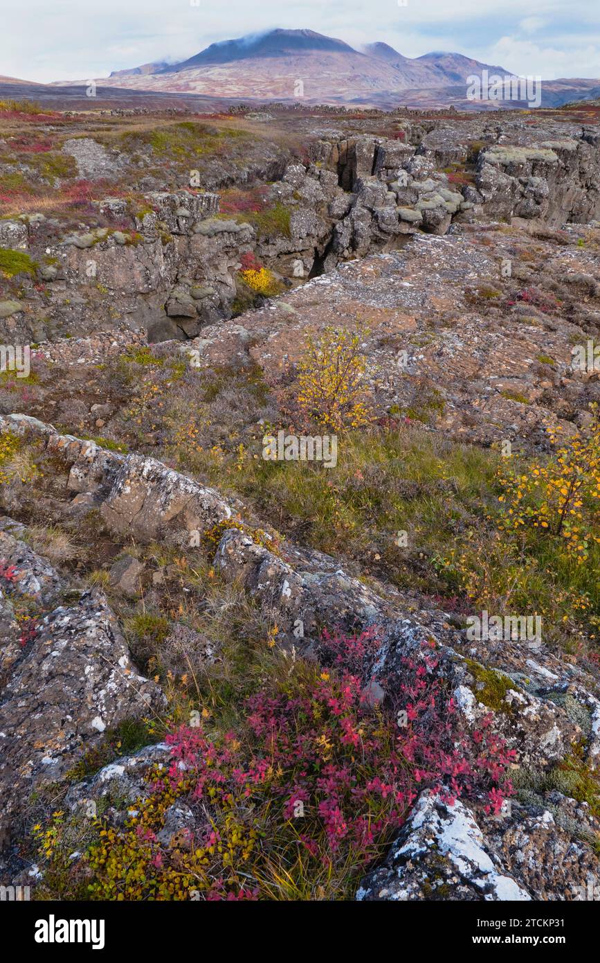Iceland, Golden Circle, Thingvellir National Park in Autumn colours ...