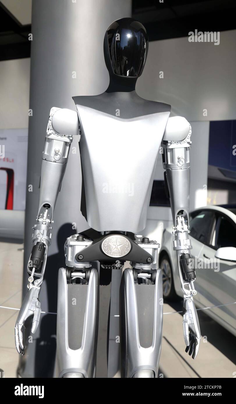 New York, New York, USA. 13th Dec, 2023. A detail view of the Tesla Bot ...