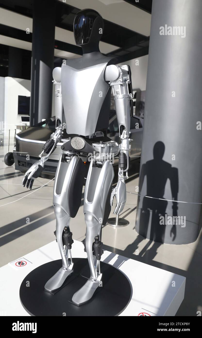 New York, New York, USA. 13th Dec, 2023. A view of the Tesla Bot 2023 ...
