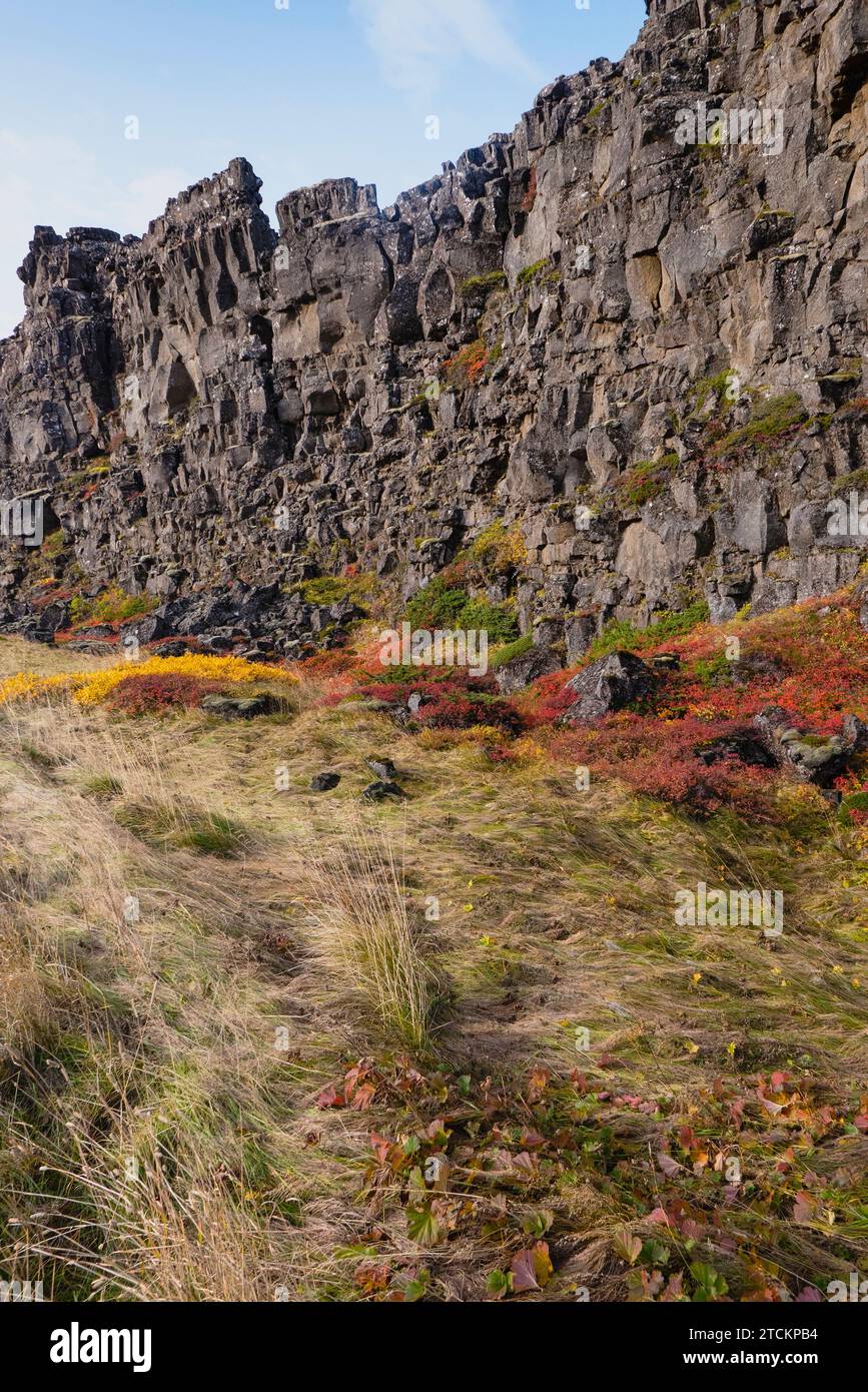 Iceland, Golden Circle, Thingvellir National Park in Autumn colours ...