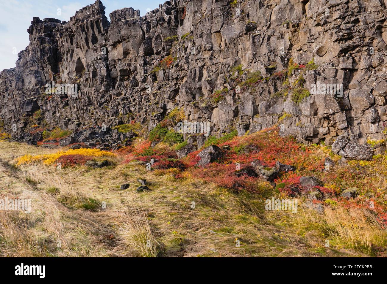 Iceland, Golden Circle, Thingvellir National Park in Autumn colours ...