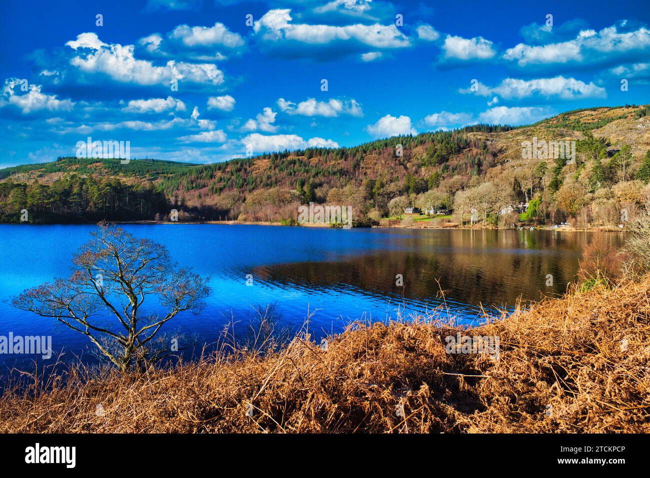 Loch lake water hills trees hi-res stock photography and images - Alamy