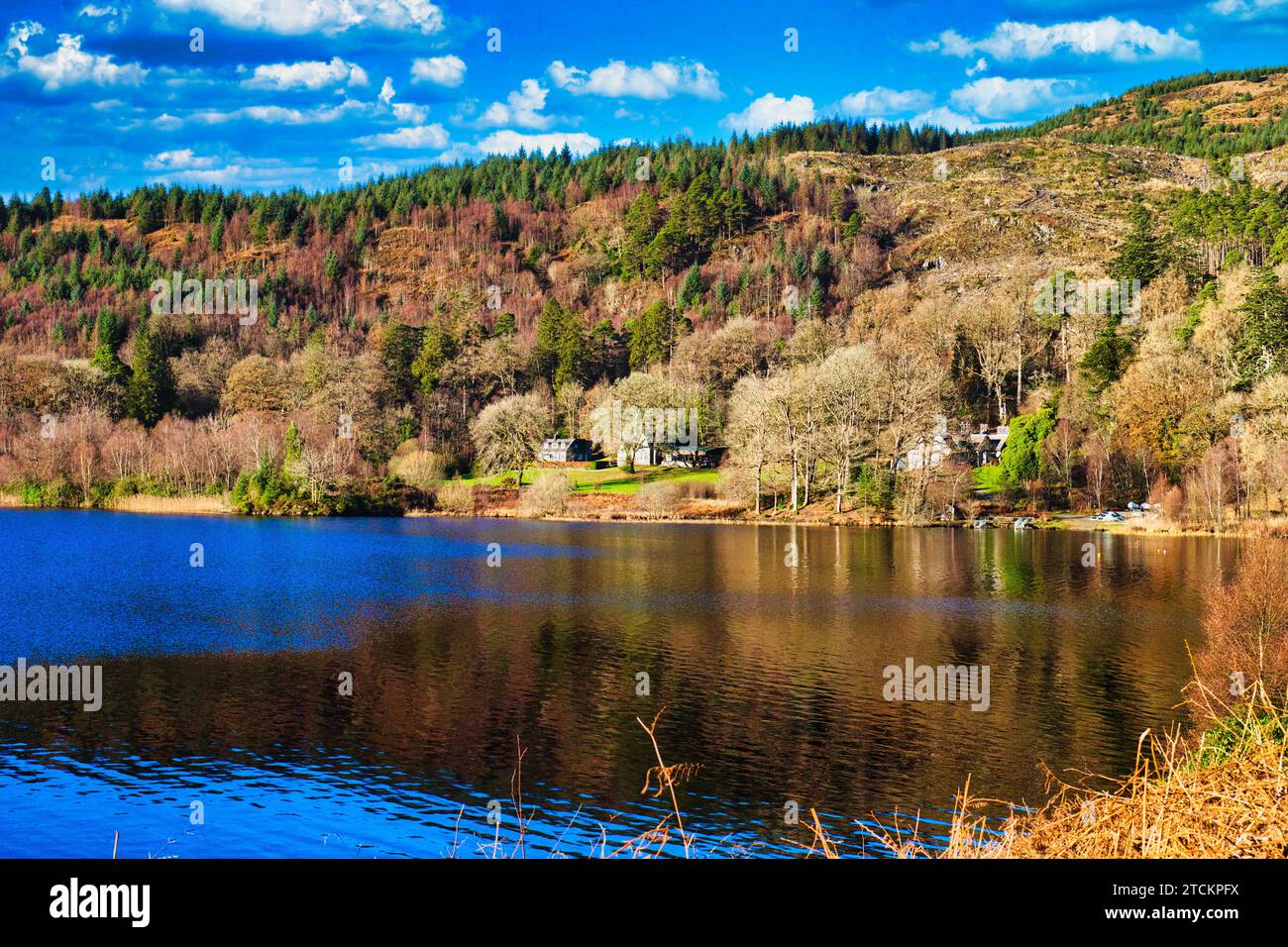 Loch trool hi-res stock photography and images - Alamy