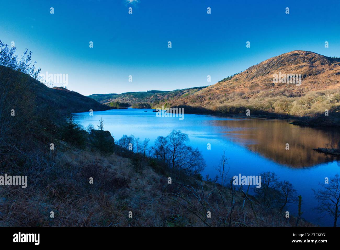 Loch trool hi-res stock photography and images - Alamy