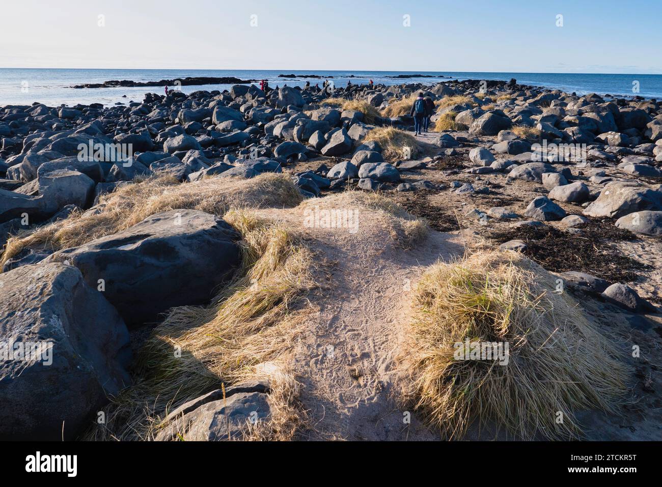 Iceland, Snæfellsnes Peninsula National Park, Ytri Tunga seal beach ...