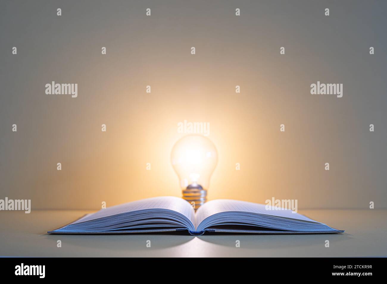 An open book illuminated by a light bulb. Education and Knowledge ...