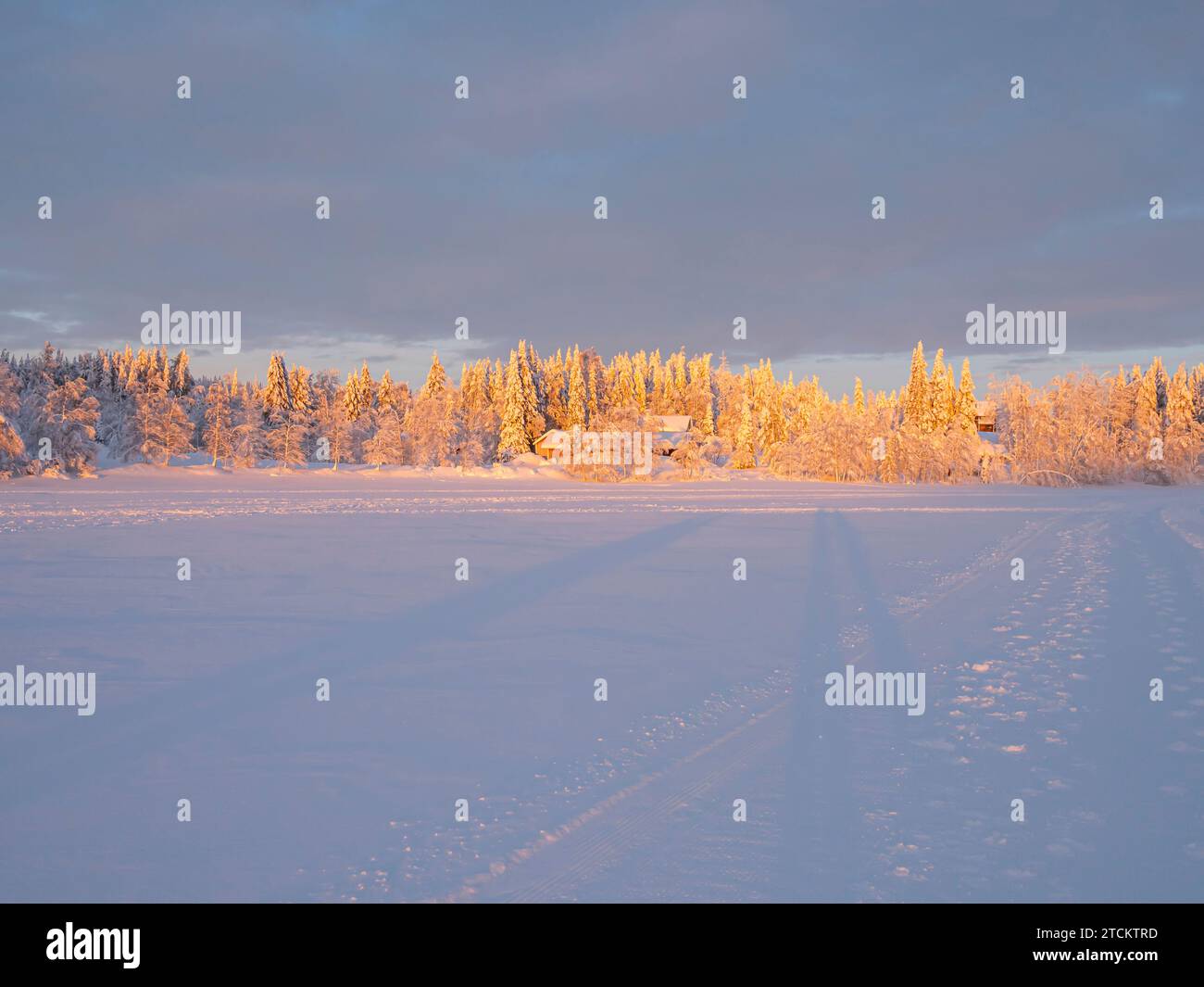 Sunset over a snowy forest and a frozen lake in Lapland, Levi Stock ...
