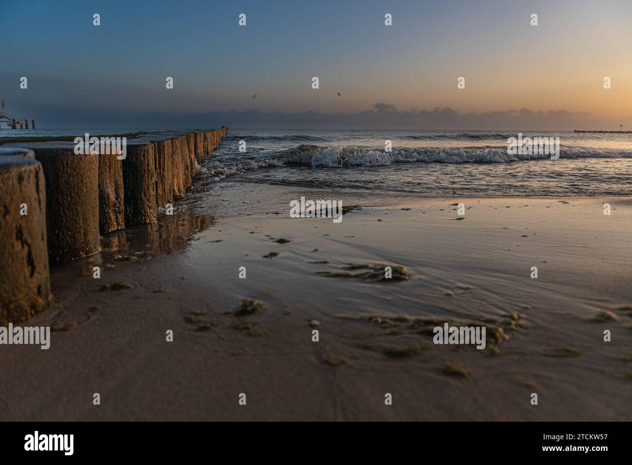 Morgens am Strand von Koserow Stock Photo - Alamy
