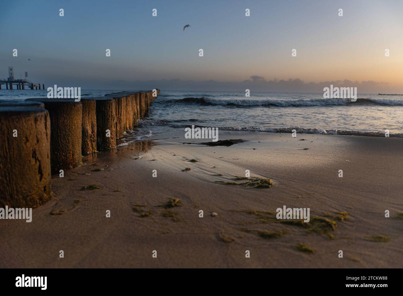 Morgens am Strand von Koserow Stock Photo - Alamy