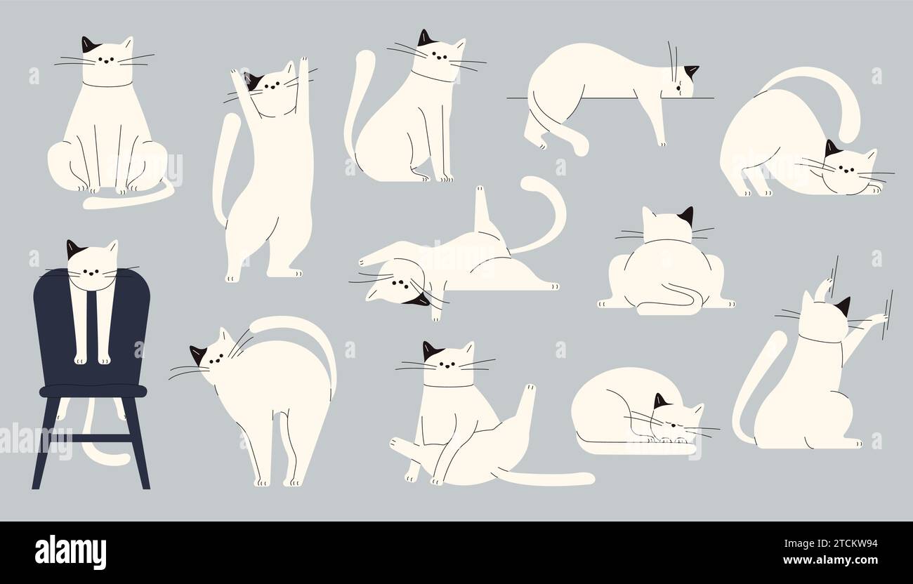 Cats body language. Cute kitten emotions, cartoon domestic cats showing ...