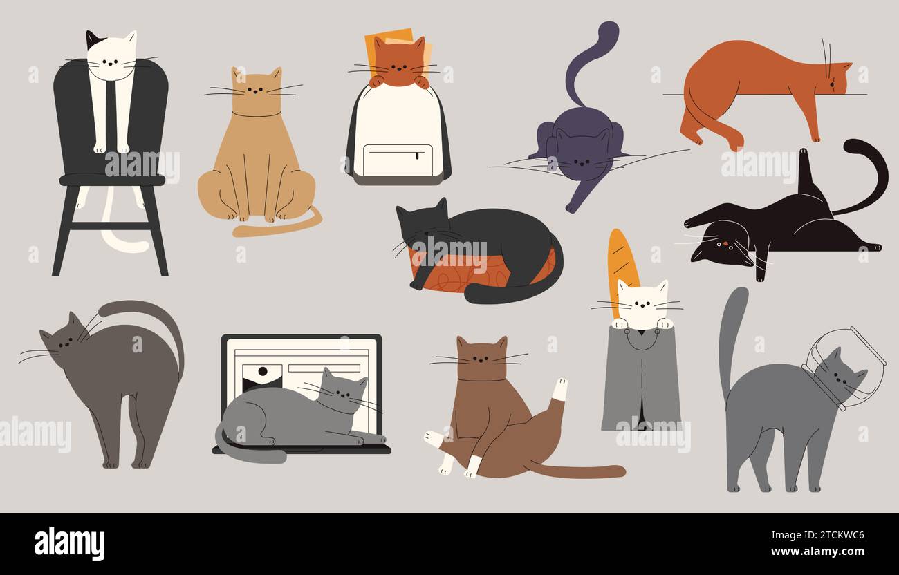 Cats behavior. Cartoon cute kitten playing with toys, funny cats in ...