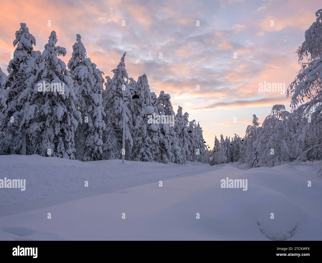 Road through snowy winter landscape, Lapland, Finland Stock Photo - Alamy