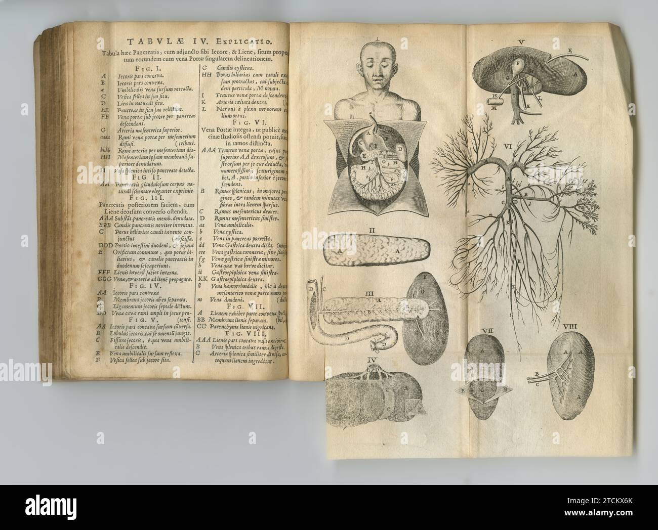 Ancient medical book, anatomy and drawing of human body, sketch or ...