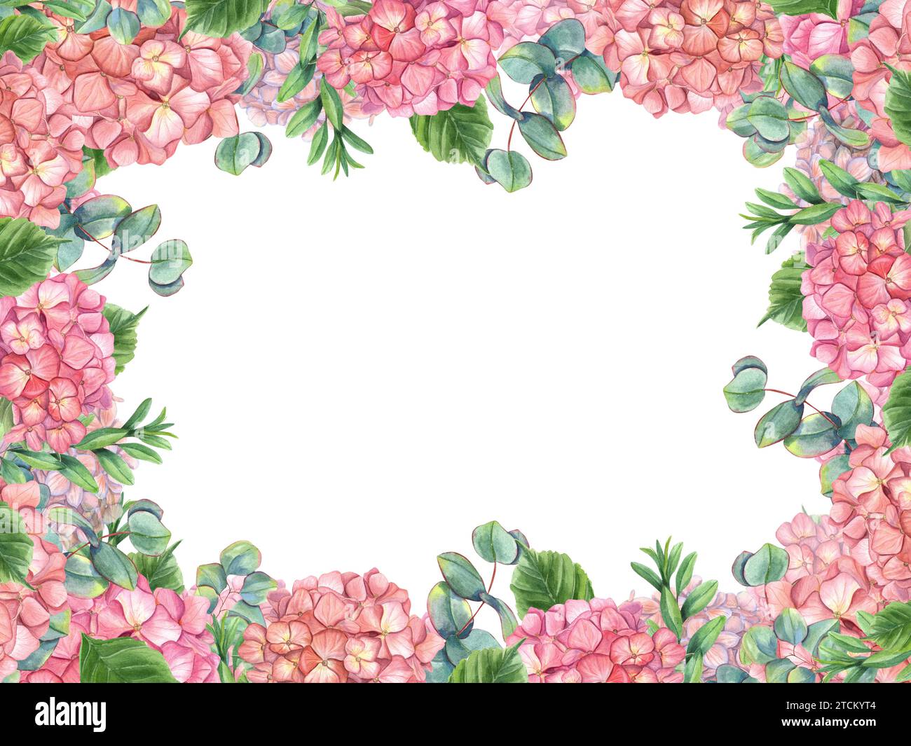 Green eucalyptus branch, hortensia flowers. Fresh plants. Horizontal ...