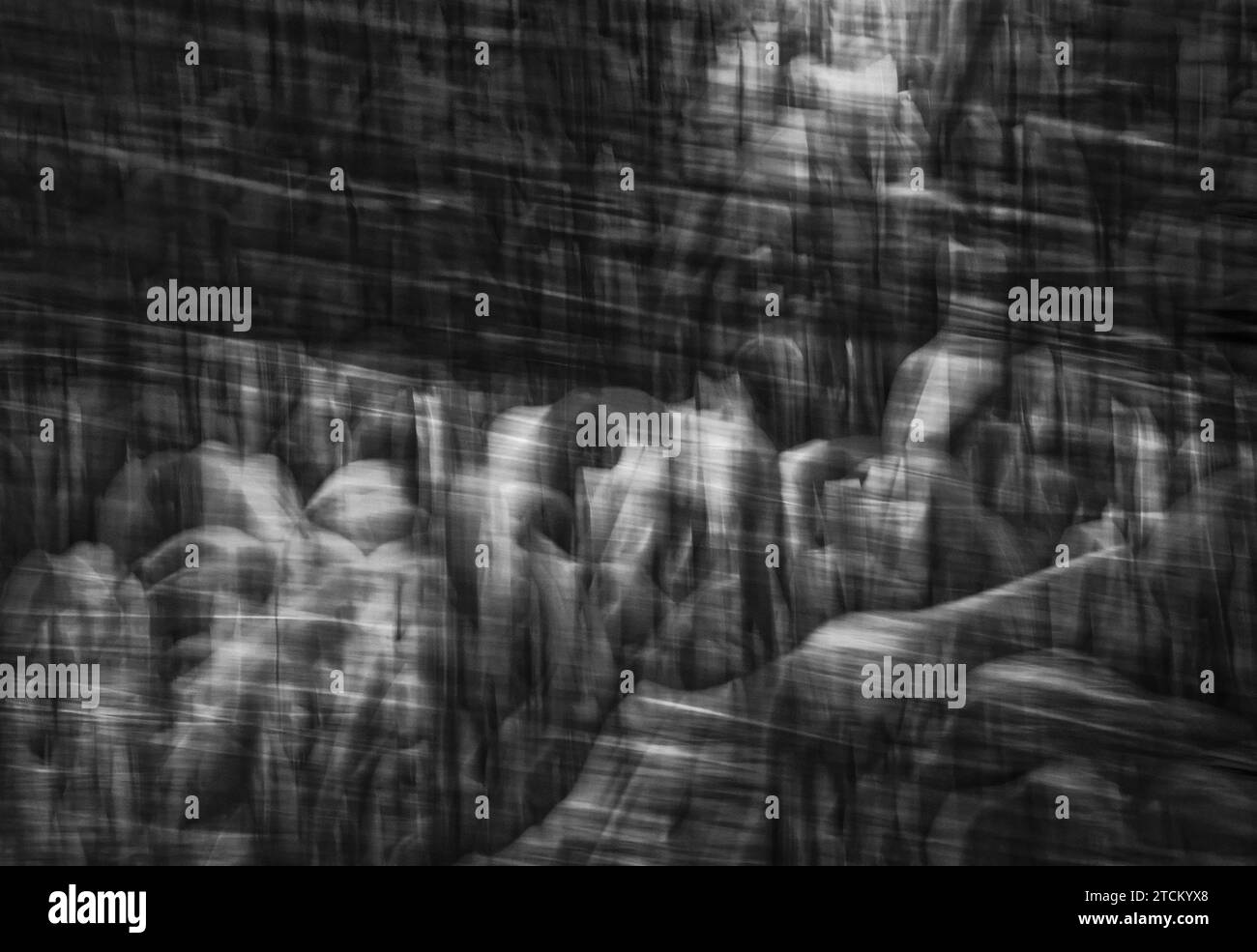 Abstract maize plants, wiping effect, looks like soldiers Stock Photo ...