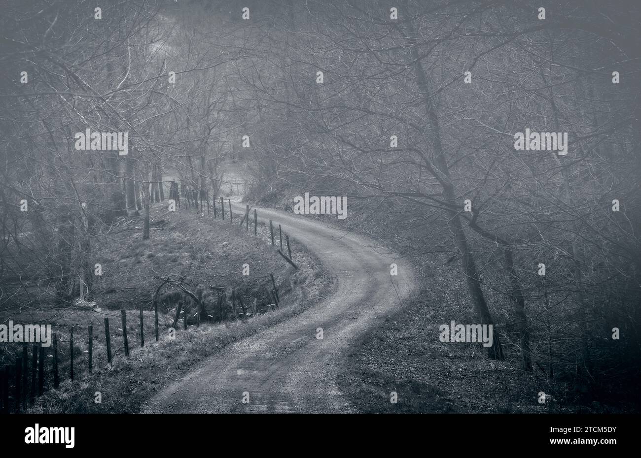Curvy dark road, grungy and spooky effect for Halloween theme, fog ...