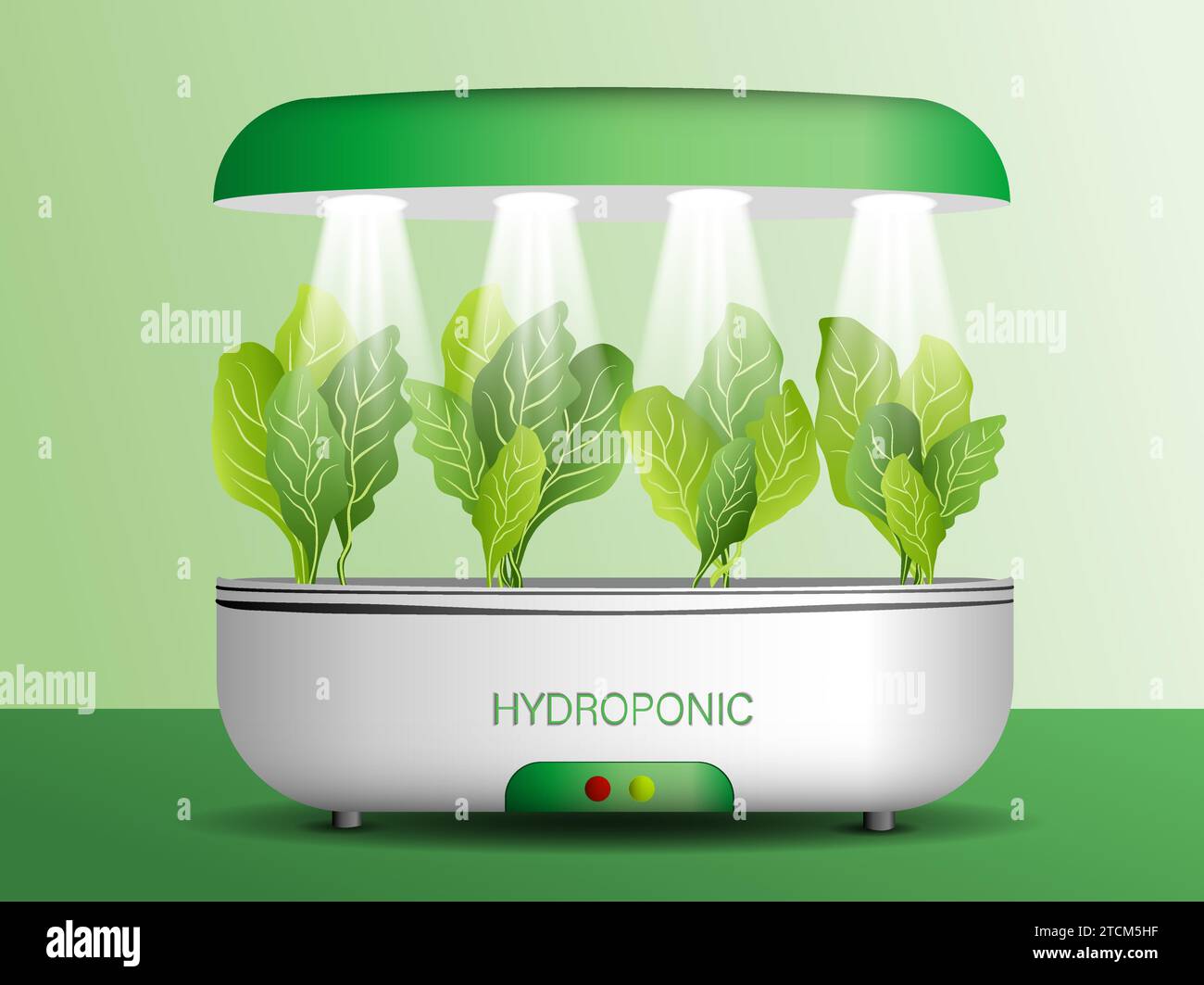 Hydroponics domestic hi-res stock photography and images - Alamy