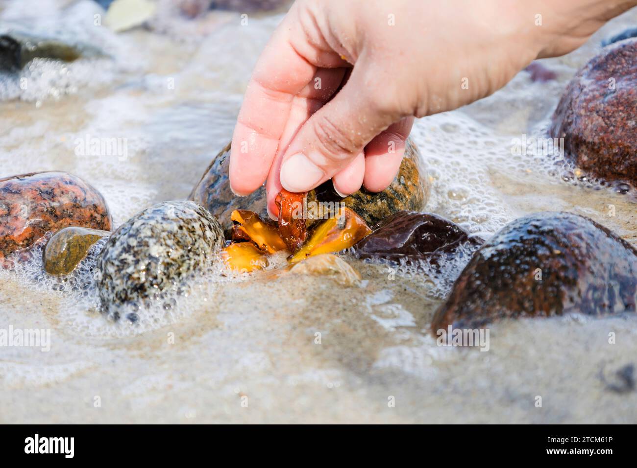 Beautiful pieces of amber in the hand of the sea background. A glowing ...