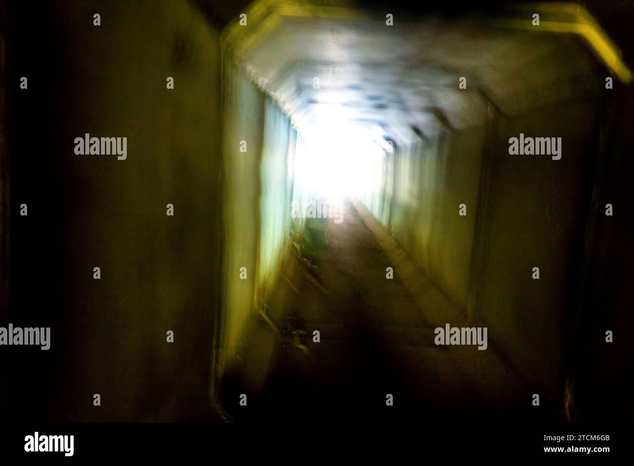 Escape through the tunnel. Dynamics of geometric shapes for vision ...