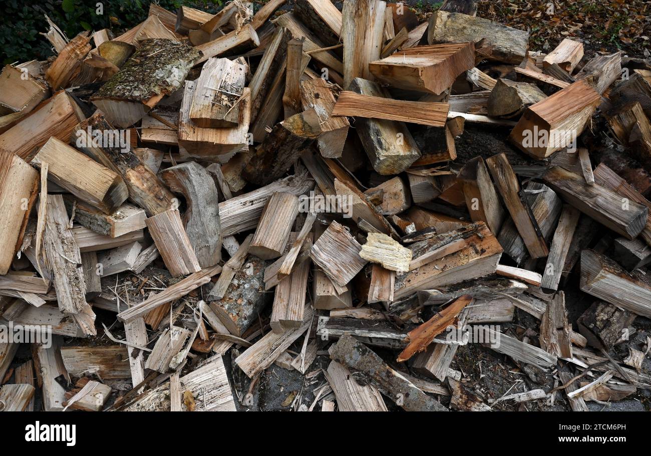 Gespaltenes Holz, aufgenommen in Eichenau, Bayern, am 10. November 2023 ...