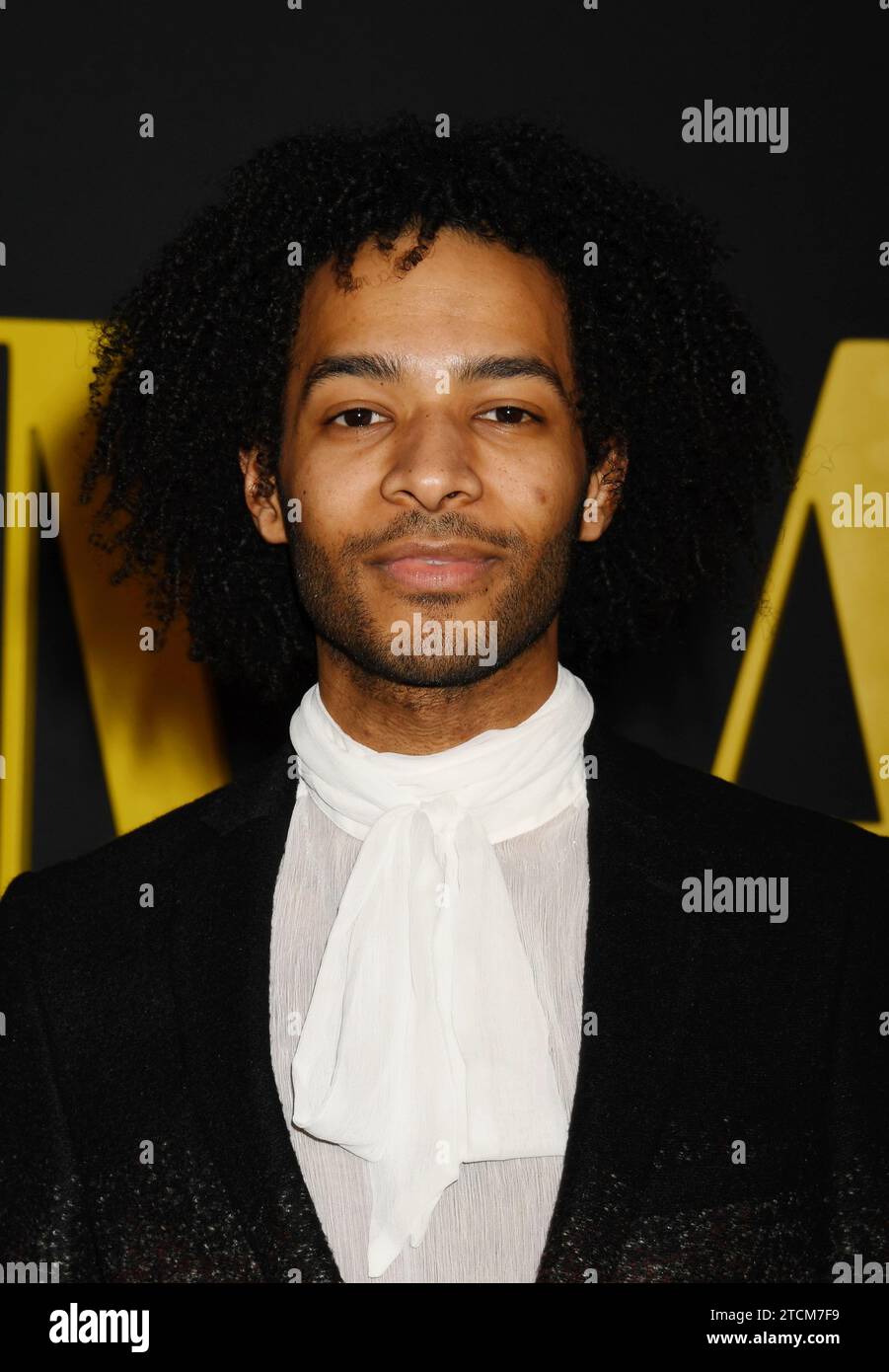 LOS ANGELES, CALIFORNIA - DECEMBER 12: Jordan Dobson attends Netflix's ...