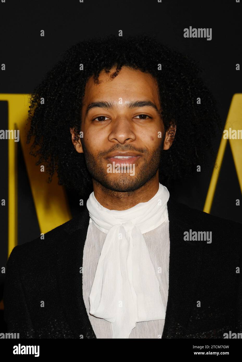 LOS ANGELES, CALIFORNIA - DECEMBER 12: Jordan Dobson attends Netflix's ...