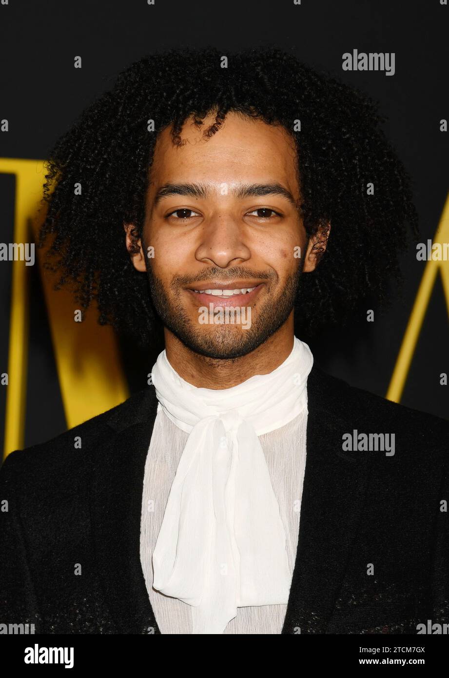 LOS ANGELES, CALIFORNIA - DECEMBER 12: Jordan Dobson attends Netflix's ...