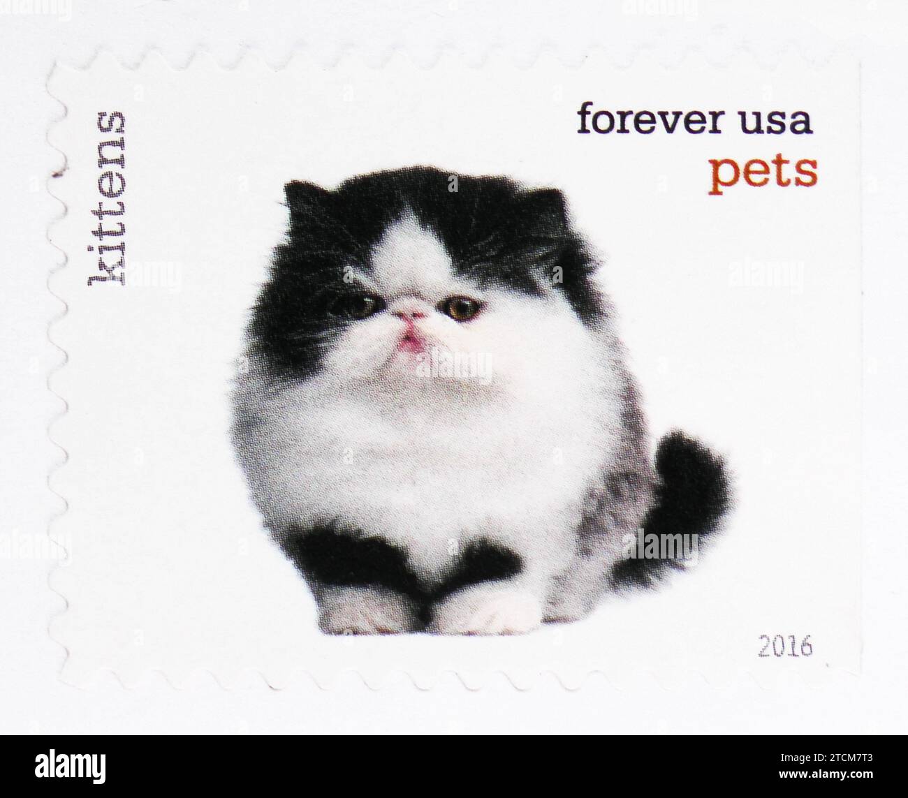 MOSCOW, RUSSIA - NOVEMBER 19, 2023: Postage stamp printed in United ...