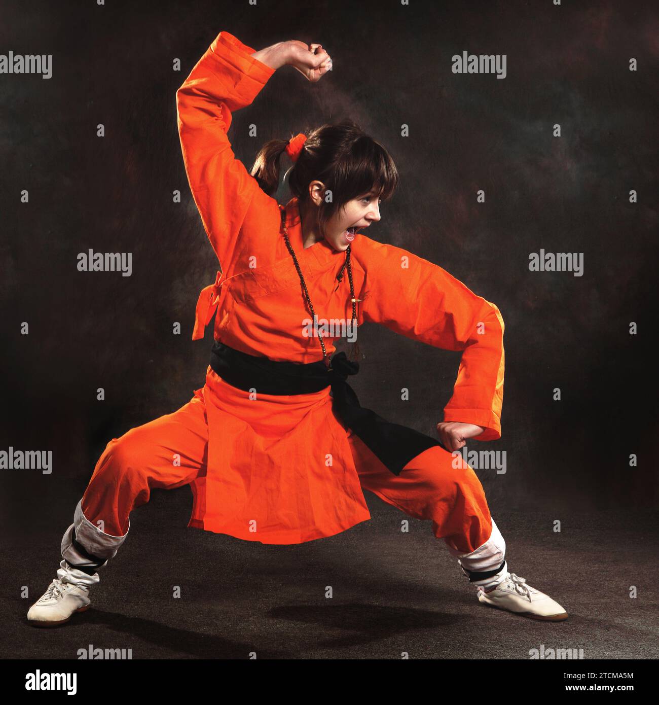 Chinese martial art hi-res stock photography and images - Alamy