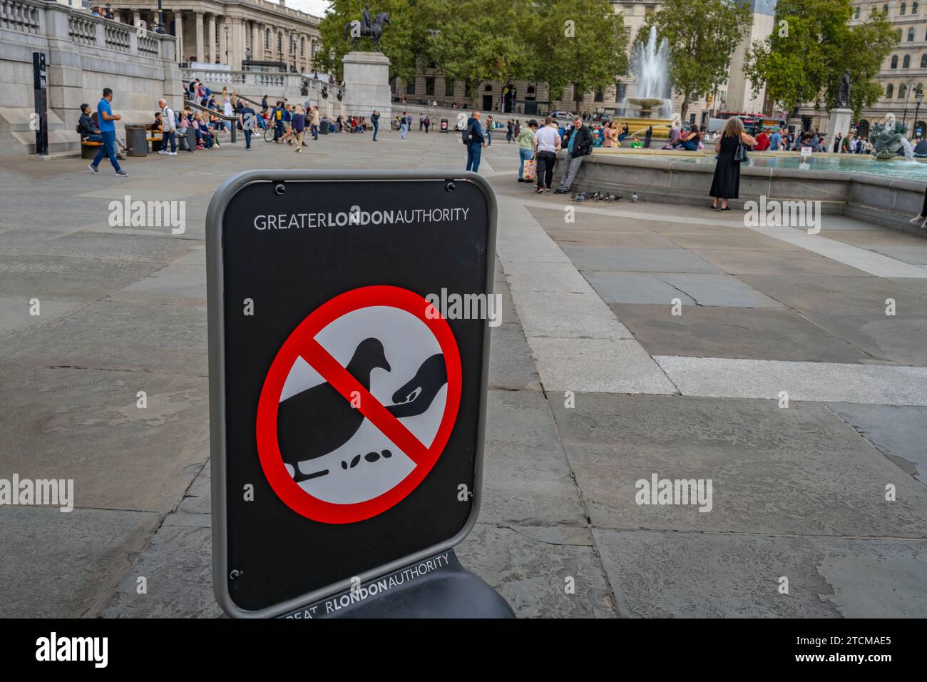 Don't feed the pigeon sign in Trafalgar Square London Stock Photo - Alamy